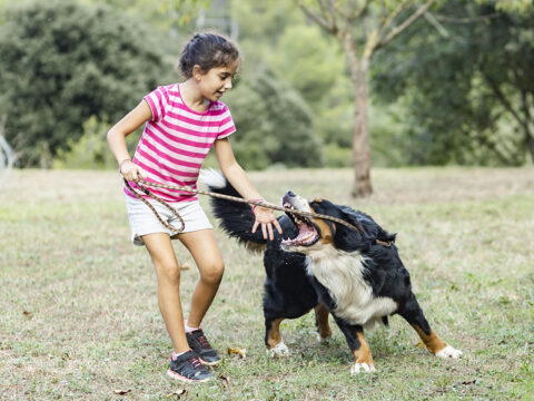 Dog Bites & Liability Risks - CoverLink Insurance - Ohio Insurance Agency